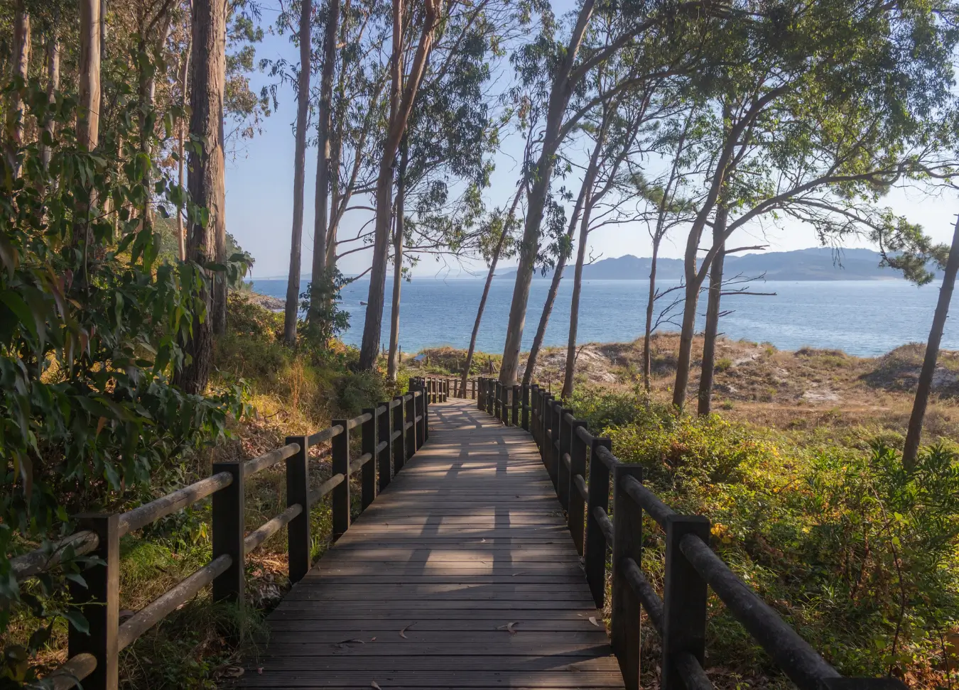 Visitar las Islas Cies en temporada baja | Illas Atlánticas