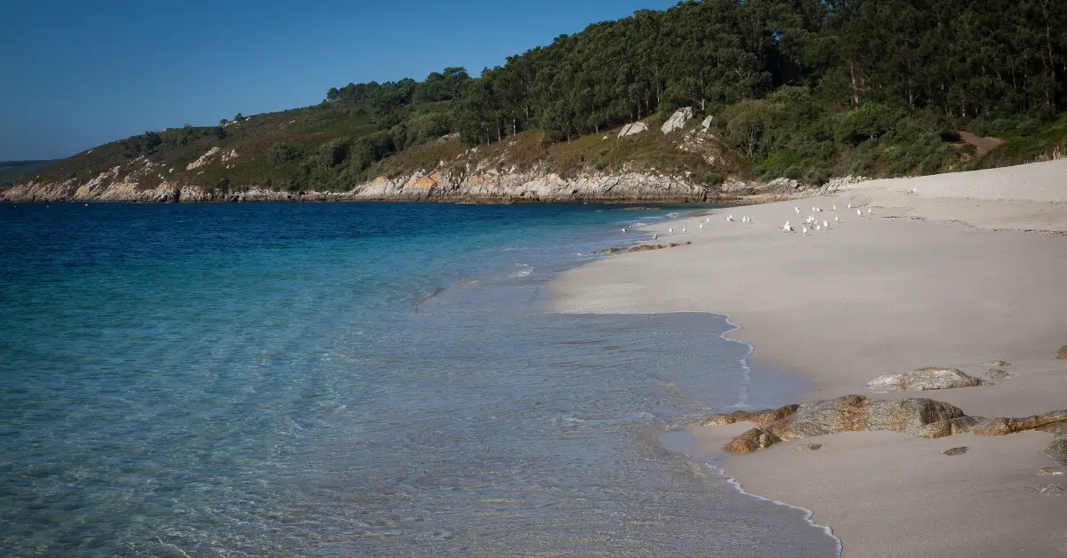 Que ver en la Isla de Ons | Illas Atlánticas
